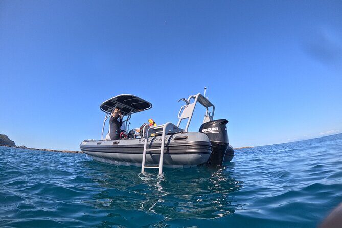 Goat Island Experience Guided Boat Dive - Key Points