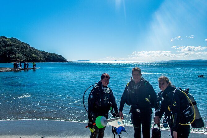 Goat Island Experience Guided Shore Dive - Key Points