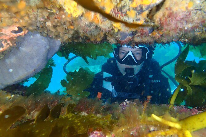 Goat Island Experience Guided Shore Dive - The Guided Experience: What Sets It Apart