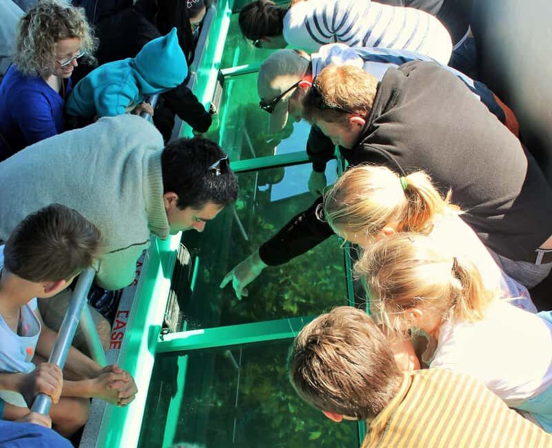 Goat Island: Glass Bottom Boat Tour - The Sum Up