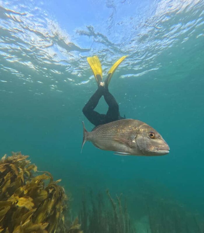 Goat Island Guided Snorkelling Tour For Advanced - The Sum Up
