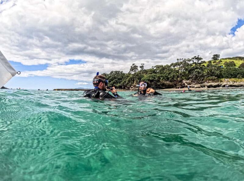 Goat Island Try Scuba Diving Experience - Meeting Point and Practical Details