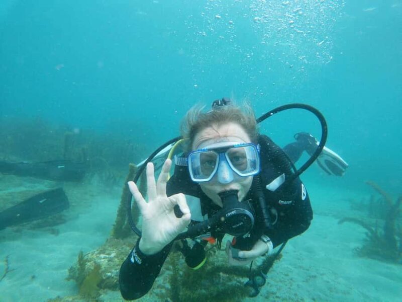 Goat Island Try Scuba Diving Experience - Who Will Enjoy This Experience?