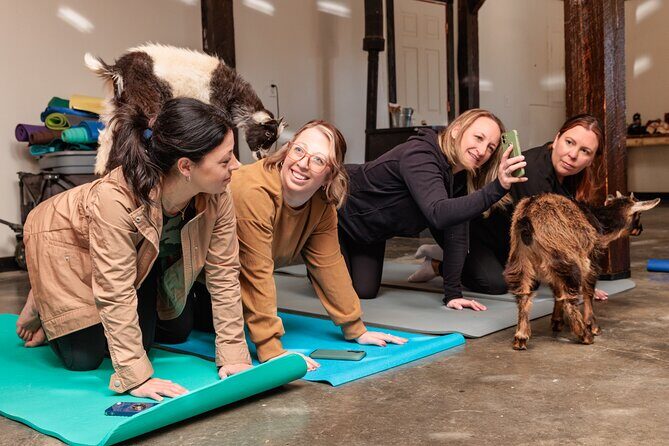 Goat Yoga Experience in Asheville - What Is Goat Yoga in Asheville?