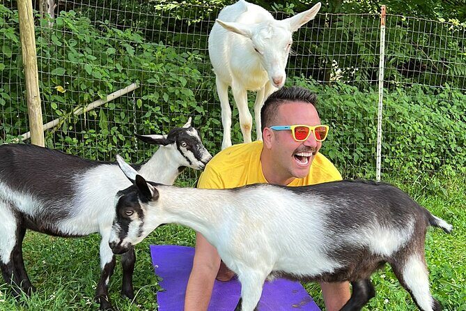 Goat Yoga Experience in Asheville - Practical Tips for Participants