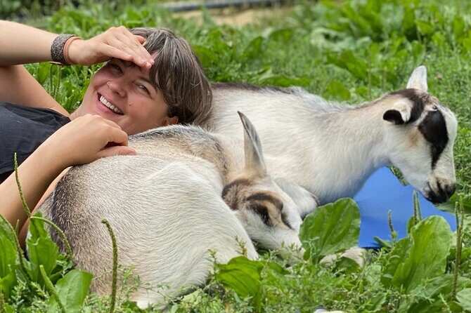 Goat Yoga Experience in Asheville - The Bottom Line: Who Is This Tour For?