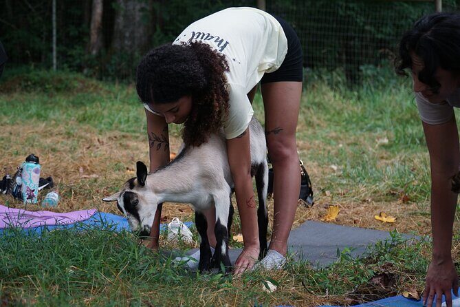 Goat Yoga Experience in Asheville - Final Thoughts
