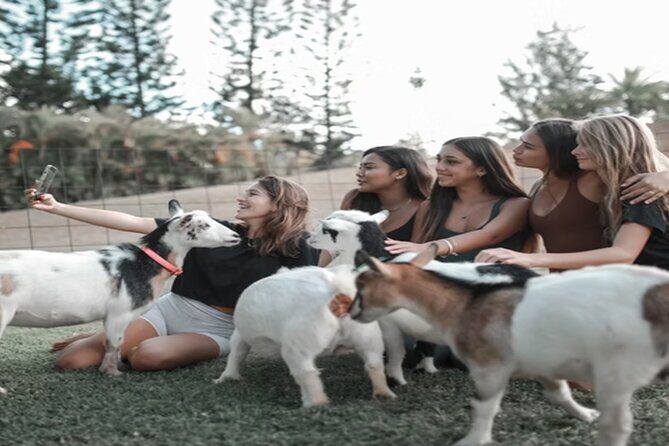 Goat Yoga Group Session - Final Thoughts