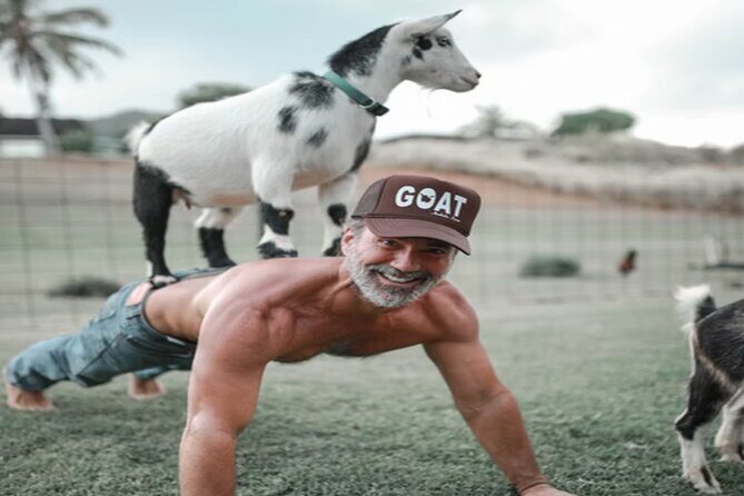 Goat Yoga Group Session - Frequently Asked Questions