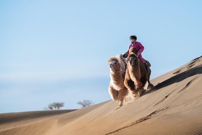 Gobi tour Mongolia 7 Days - The Experience: What’s Really on Offer