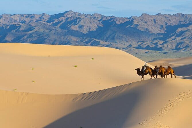 Gobi tour Mongolia 7 Days - Is This Tour Worth the Cost?