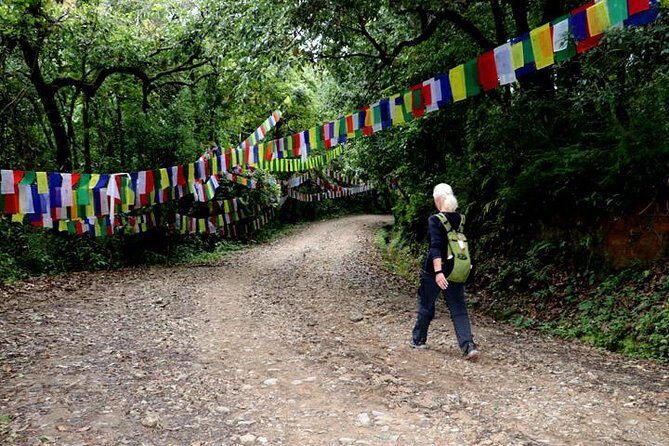 Godavari to Fulchoki Day Hike Near Kathmandu - Detailed Breakdown of the Itinerary