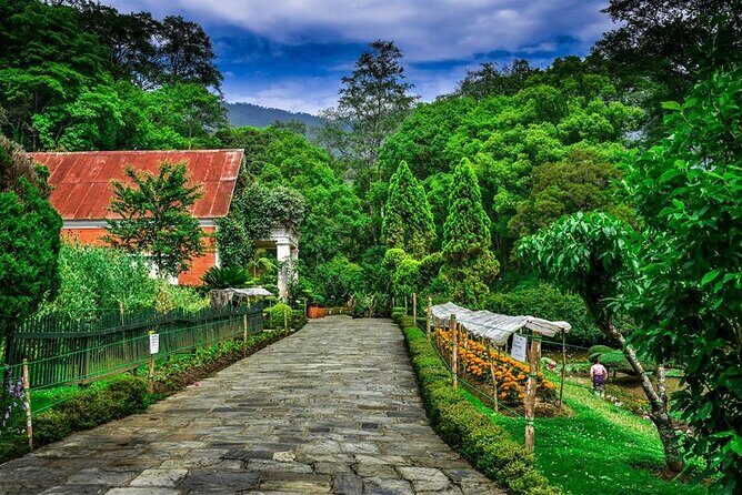 Godavari Village Day Tour - Why Choose This Tour?