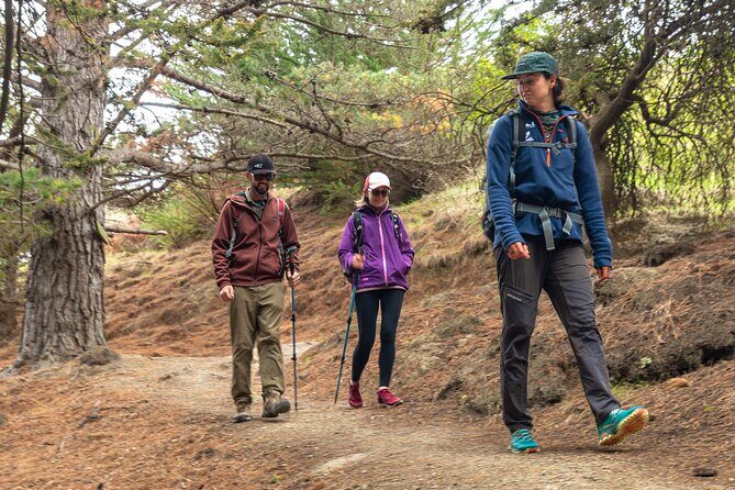 Godley Head & Lyttelton Scenic Drive & Guided Walk (Private Tour) - Starting Point and Overall Structure