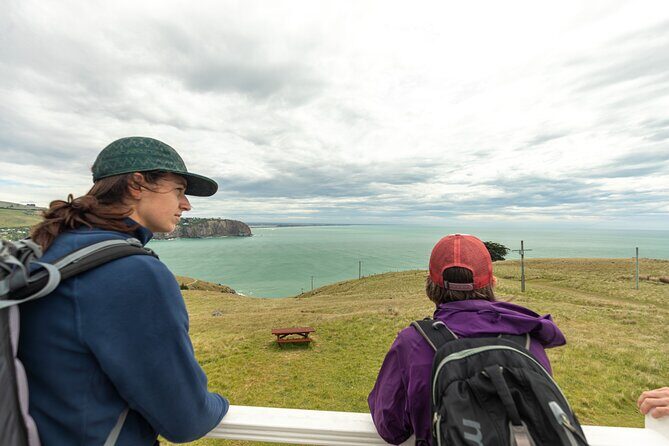 Godley Head & Lyttelton Scenic Drive & Guided Walk (Private Tour) - Final Stop and Return