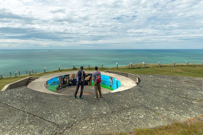 Godley Head Scenic Drive & Guided Walk (Shore Excursion) - Final Thoughts