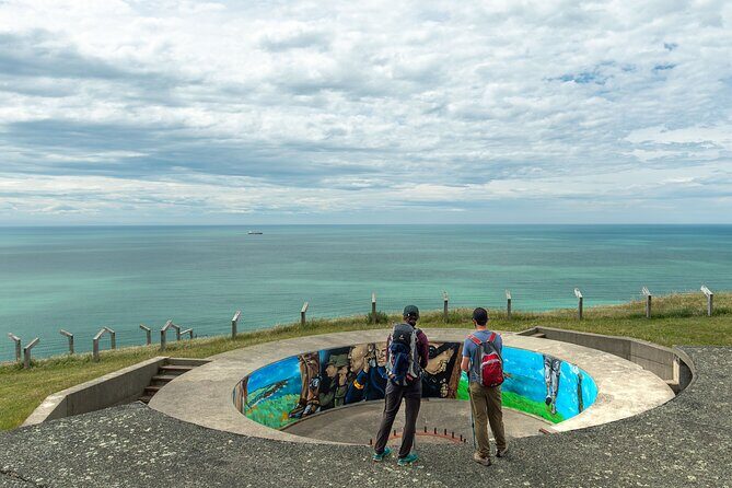 Godley Head Scenic Drive & Walking Tour (Private Shore Excursion) - Who Should Consider This Tour?