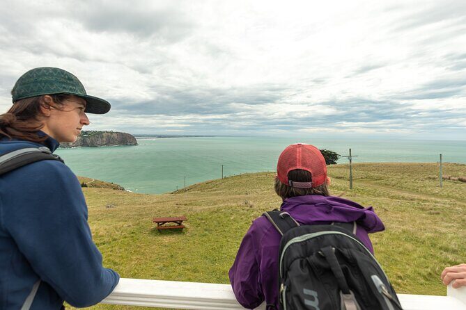 Godley Head Scenic Drive & Walking Tour (Private Shore Excursion) - FAQs
