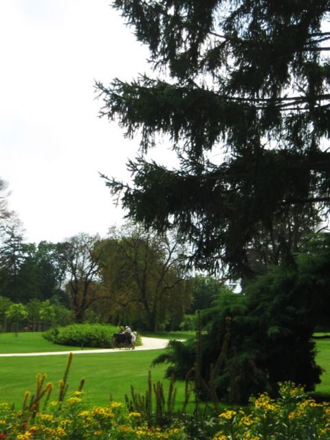 Gödöll Palace Full-Day Tour from Budapest - Details That Matter: Practical Insights