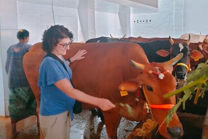 Gods of Mylapore walking tour- tourism ministry approved company - Visiting San Thome Basilica: A Piece of Christian Heritage