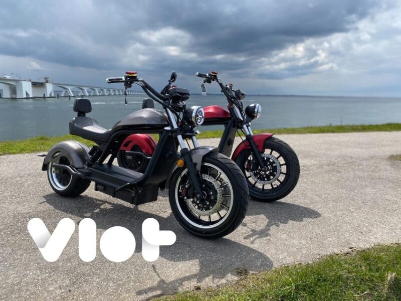 Goes: Full-Day E-Bike Rental - Real Traveler Feedback and What It Means