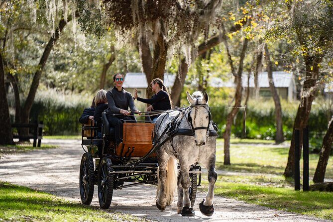 Goethe Forest Carriage Ride - An In-Depth Look at the Goethe Forest Carriage Ride