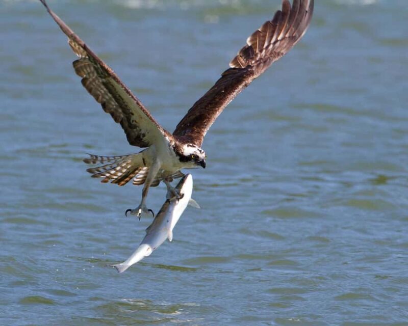 Gold Beach, Oregon: Historic Mail Route Jet Boat Tour - Genuine Traveler Insights