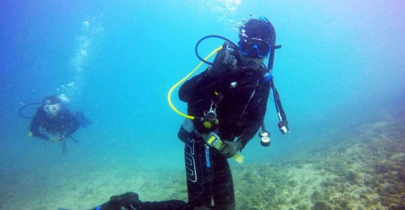 Gold Coast: 3-Day PADI Open Water Course - The Itinerary: What You Can Expect