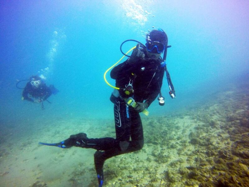 Gold Coast: 3-Day PADI Open Water Course - Deep Dive into the Experience