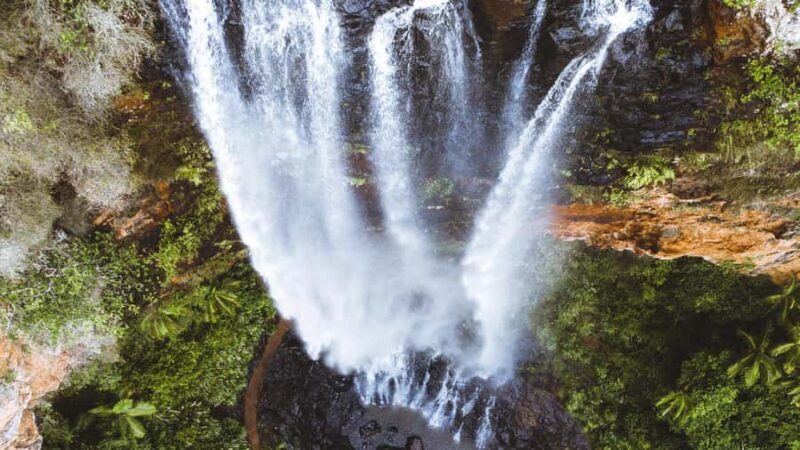 Gold Coast: 6 Waterfalls, Koalas & Natural Bridge Day Tour - An In-Depth Look at the Tour Experience