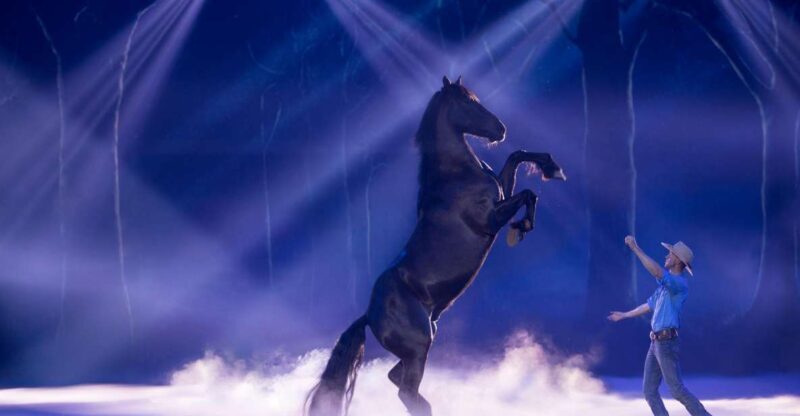Gold Coast: Australian Outback Spectacular Dinner & Show - Key Points