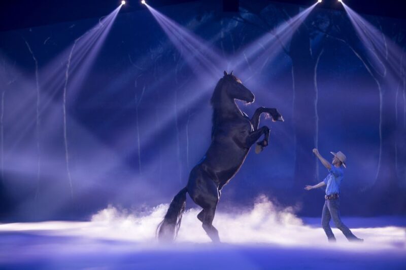 Gold Coast: Australian Outback Spectacular Dinner & Show - Why the Show Resonates: What Travelers Say