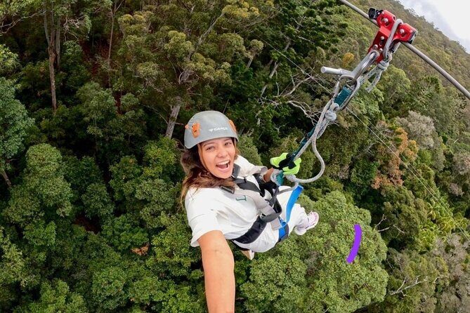 Gold Coast Canyon Flyer Zipline Tour - Detailed Experience Breakdown