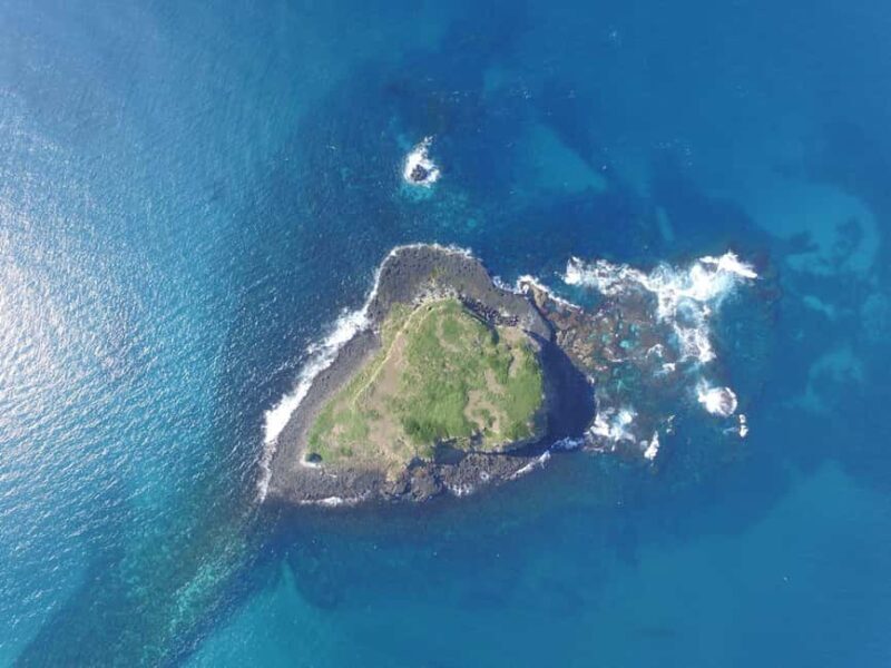 Gold Coast: Cook Island Marine Reserve Scuba Experience Dive - An In-Depth Look at the Experience