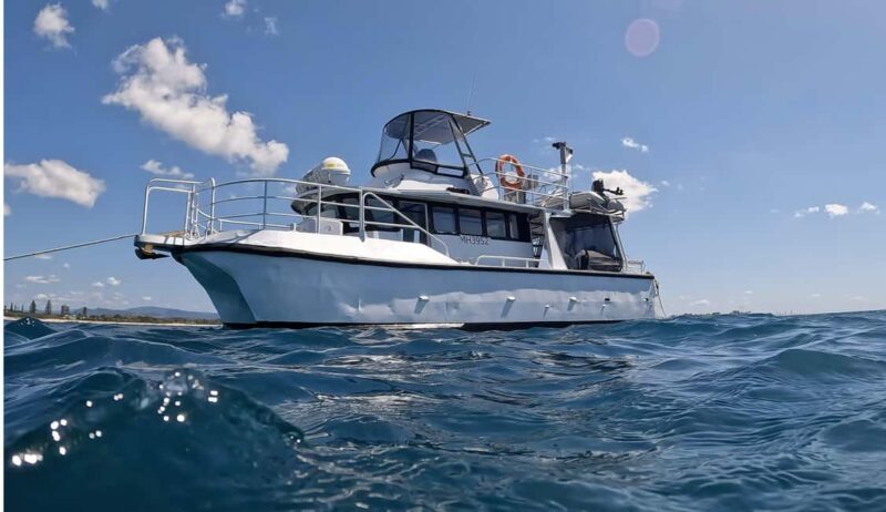 Gold Coast: Cook Island Marine Reserve Scuba Experience Dive - Final Thoughts