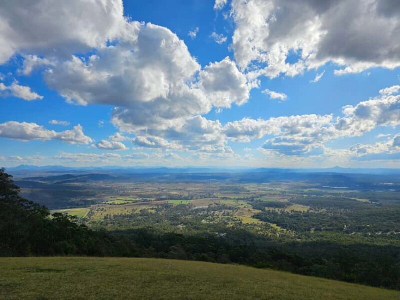 Gold Coast Departure : Explore Tamborine Mountain Day Tour - The Itinerary: From Rainforest Trails to Tasting Tables