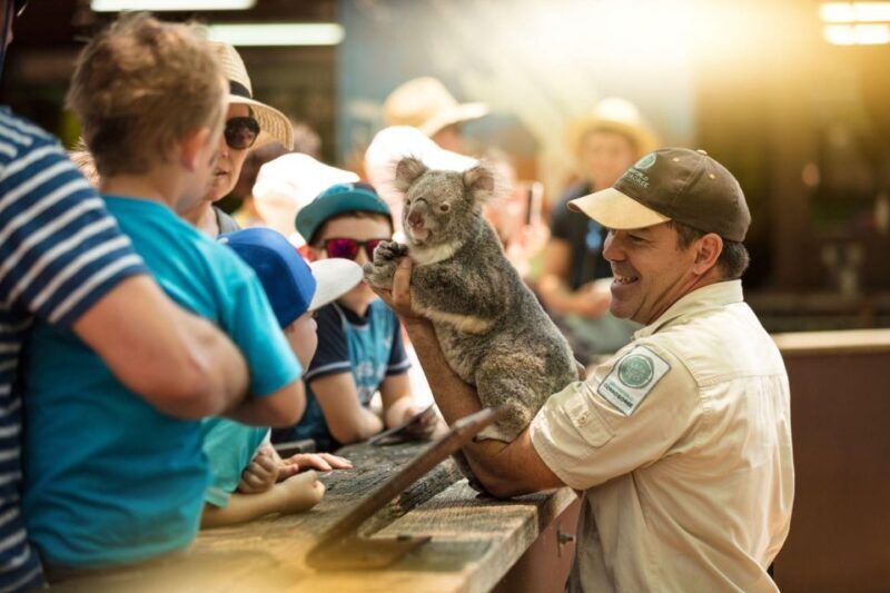 Gold Coast: Dreamworld 1-Day Entry Ticket - Who Should Visit Dreamworld?
