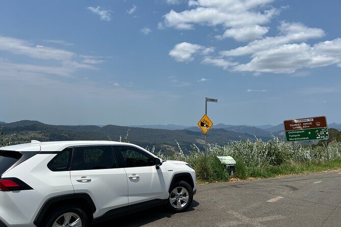 Gold Coast Fun Tour - The Experience: What You Can Expect