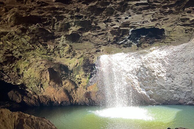 Gold Coast Fun Tour - Who Will Love This Experience?