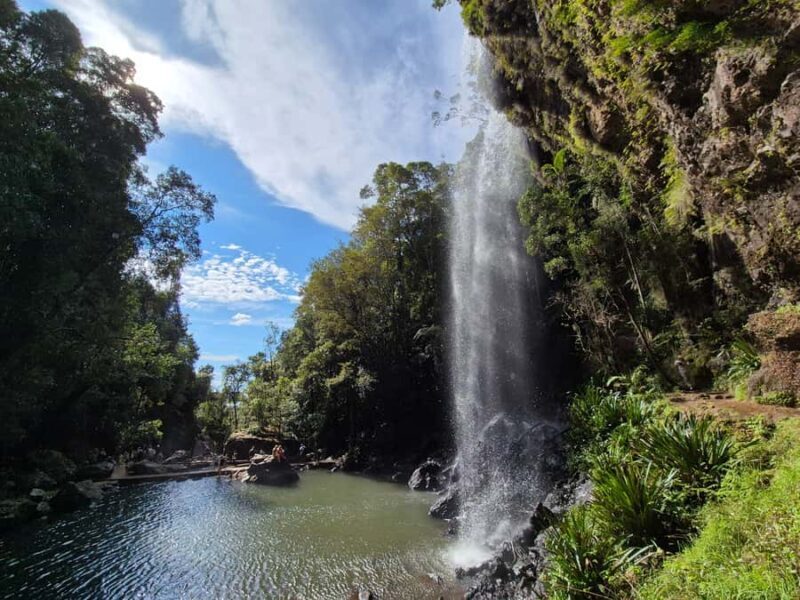 Gold Coast: Glow Worms Day/Night Rainforest & Waterfall Walk - Logistics and Practical Details