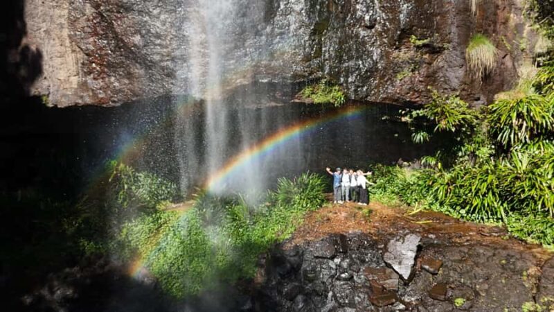 Gold Coast: Glow Worms Day/Night Rainforest & Waterfall Walk - Authentic, Expert-Led Wilderness Encounters
