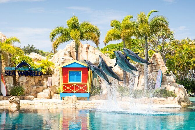 Gold Coast Hop On Hop Off Sightseeing Cruise 1 Day Pass - An In-Depth Look at the Experience
