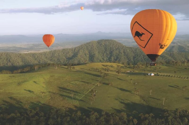 Gold Coast: Hot Air Balloon Flight+Vineyard Breakfast+Alpaca - Authentic Critics and What They Say