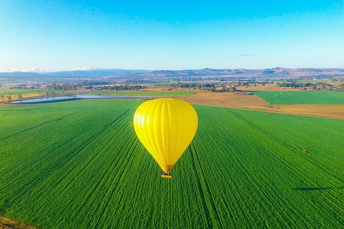 Gold Coast Hot Air Balloon + Winery Breakfast + Return Transfers - The Post-Landing Experience: Breakfast and Wine Tasting