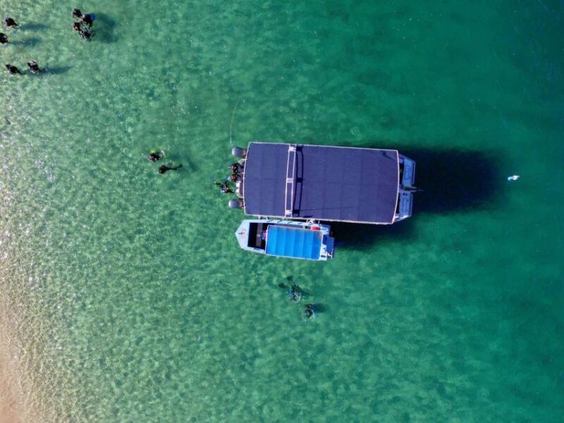 Gold Coast: Introductory SCUBA Diving Experience - The Sum Up