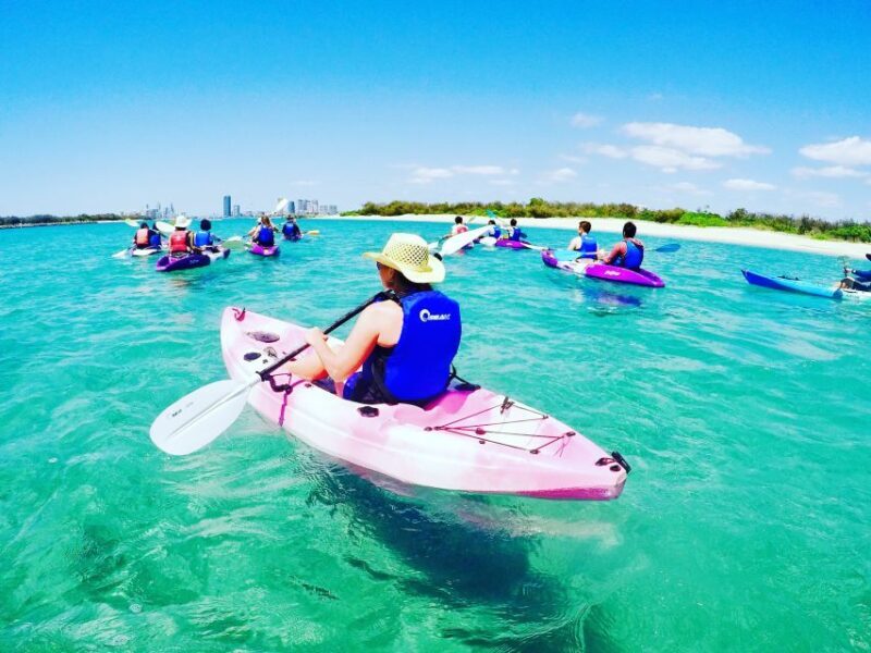 Gold Coast: Kayaking and Snorkeling Guided Tour - Exploring the Gold Coast: Kayaking and Snorkeling Guided Tour