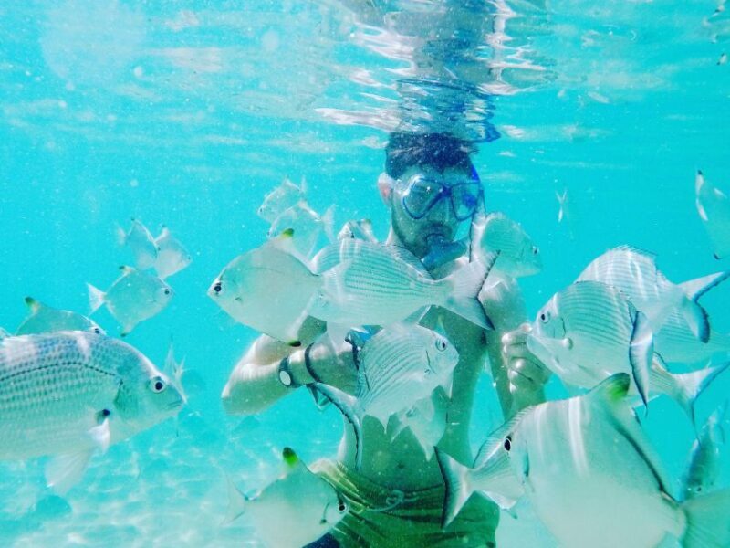 Gold Coast: Kayaking and Snorkeling Guided Tour - Authentic, Family-Friendly, and Accessible