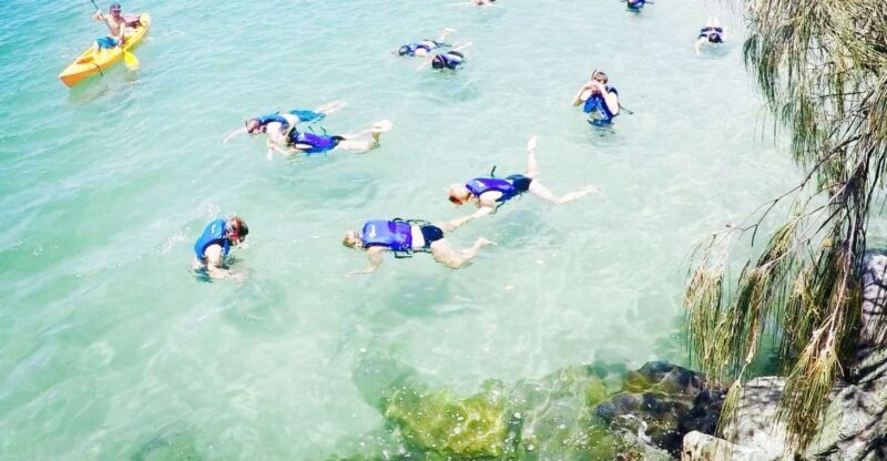 Gold Coast: Kayaking & Snorkelling Tour with Fish Feeding - A Practical Look at the Gold Coast Kayaking & Snorkelling Tour