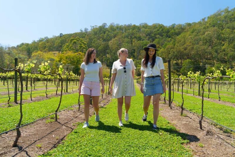 Gold Coast: Lamington Treetops, Wildlife and Vineyard Visit - Wildlife Encounters and Bird Feeding