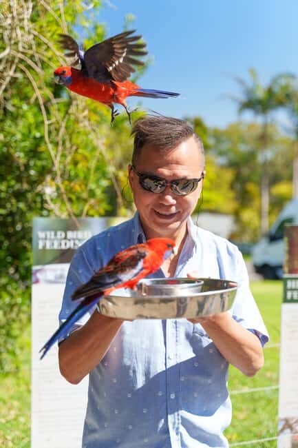 Gold Coast: Lamington Treetops, Wildlife and Vineyard Visit - Practical Details and Tips
